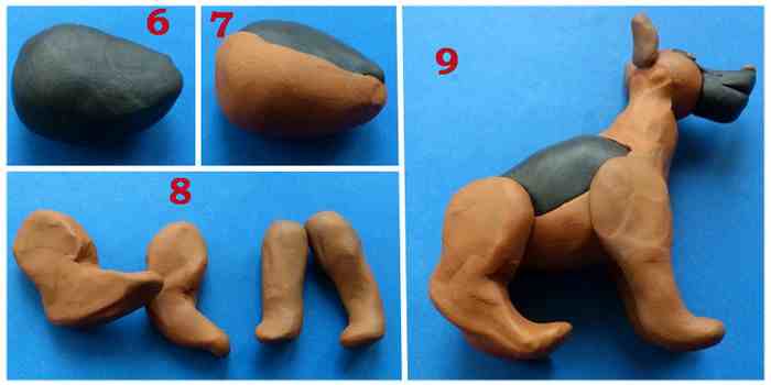 How to make a dog from plasticine: husky, spitz, shepherd, chihuahua ...